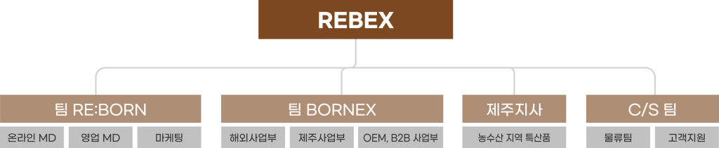 REBEX – 리벡스
