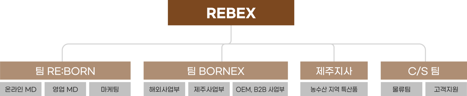 REBEX – 리벡스