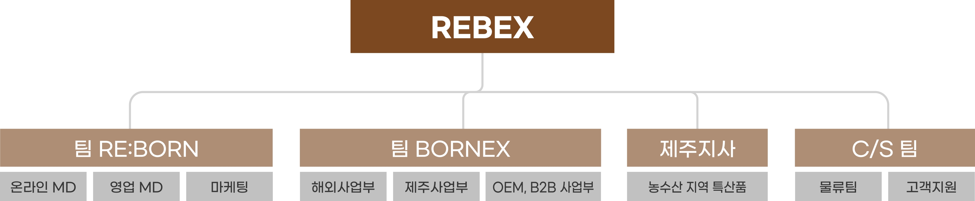 REBEX – 리벡스